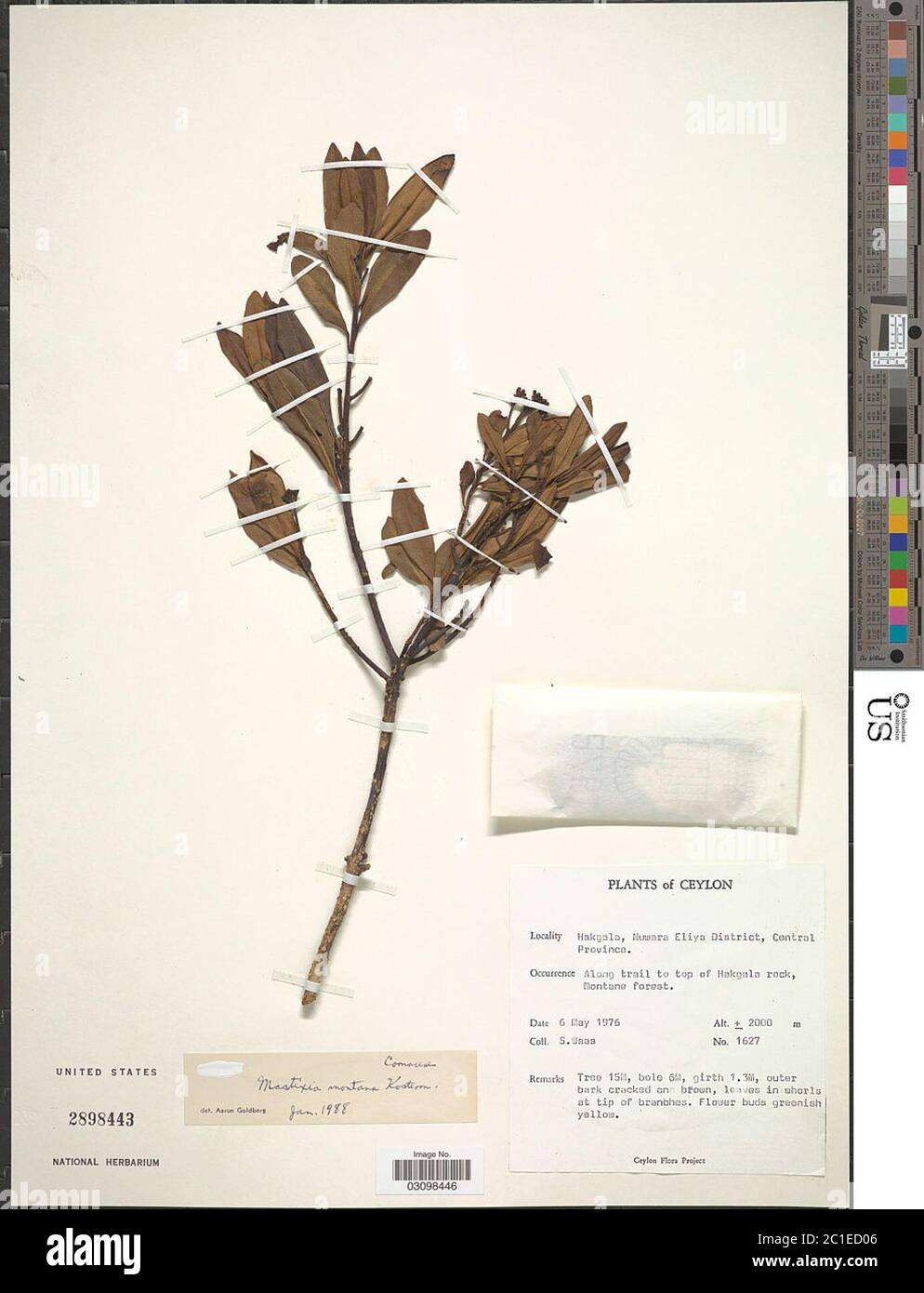 Kosterm hi-res stock photography and images - Alamy