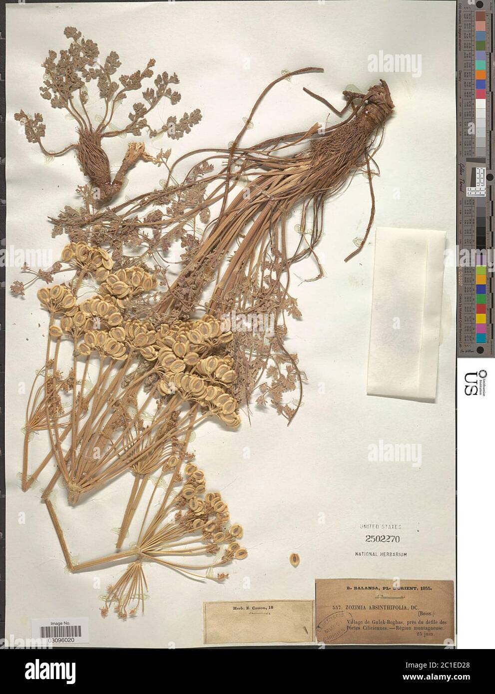 Zosima High Resolution Stock Photography and Images - Alamy