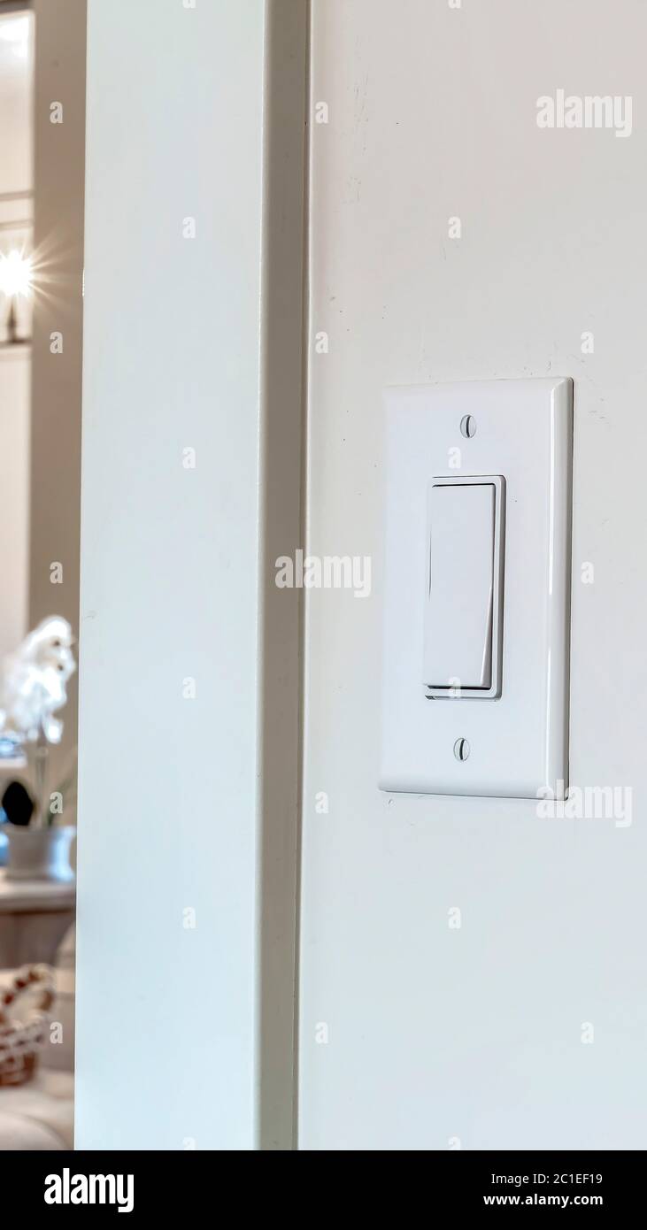 Vertical Wall mounted electrical rocker light switch with blurry dining ...