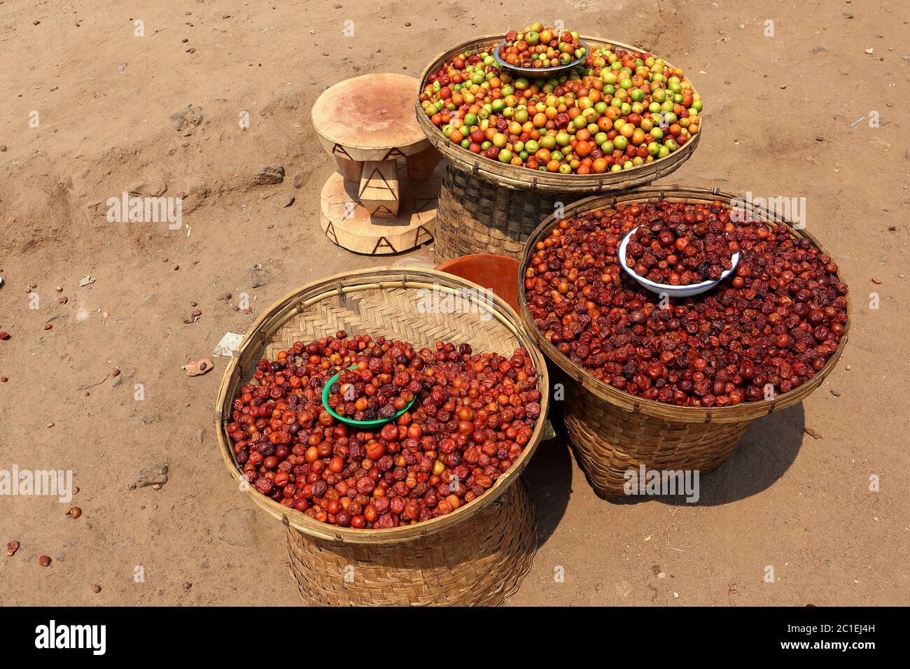 Marula Fruit High Resolution Stock Photography and Images - Alamy