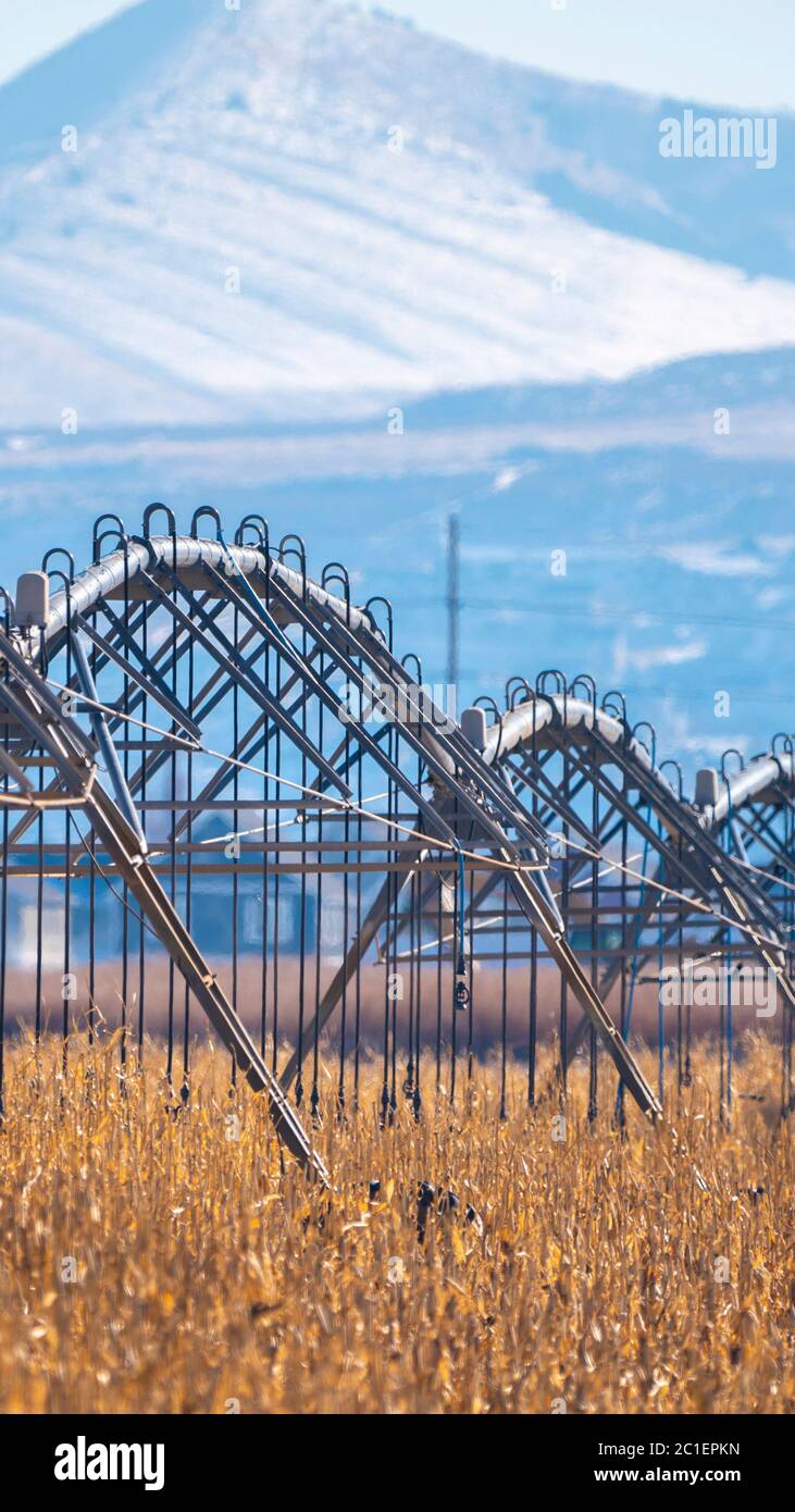 Vertical Large agricultural irrigation system in a field Stock Photo ...