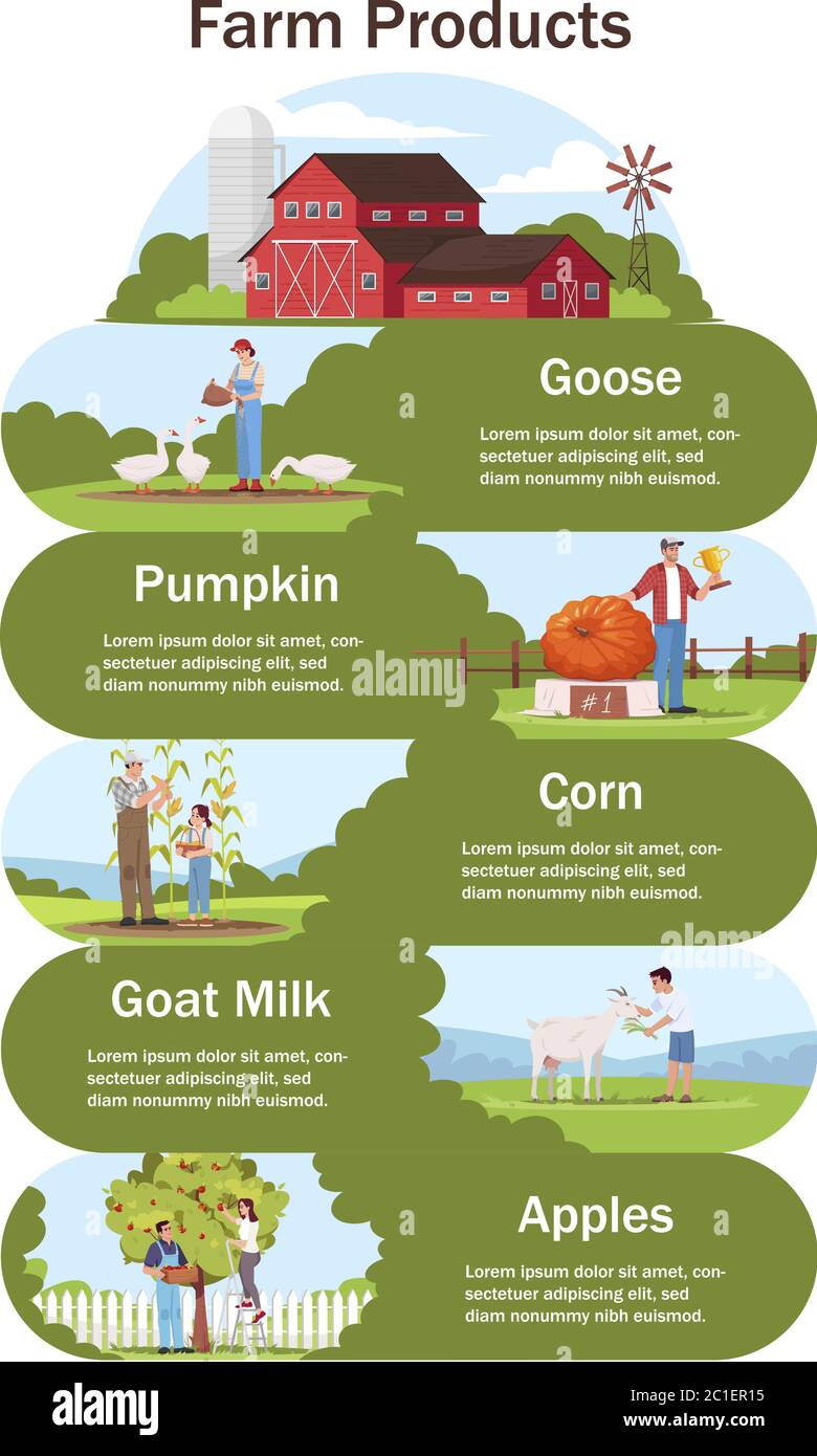 Farm product vector infographic template Stock Vector Image & Art - Alamy