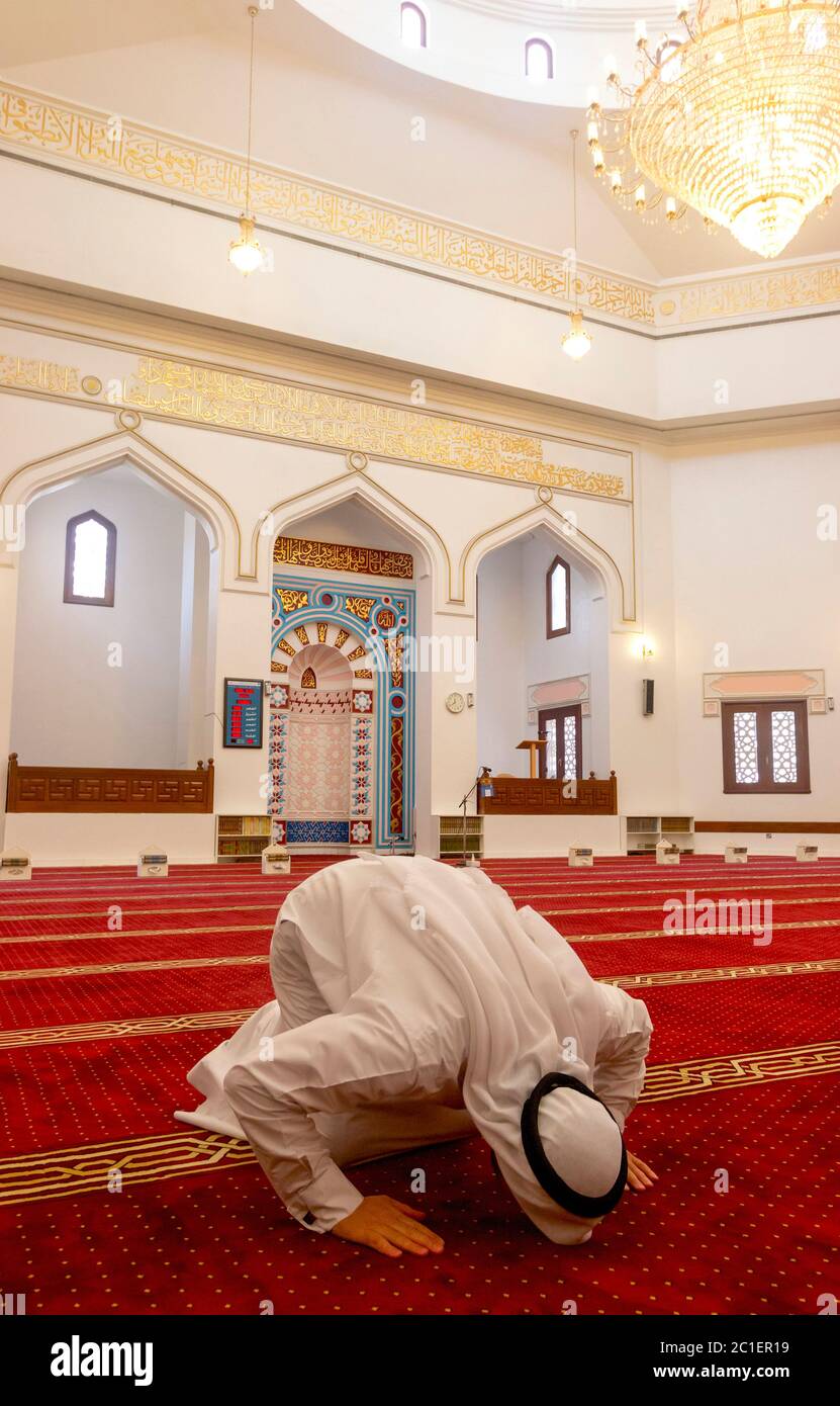 Guide Nasif Kayed, in a traditional Arab men's robe and headdress ...