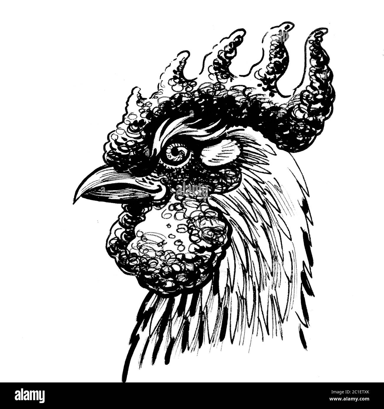 Rooster head. Ink black and white drawing Stock Photo - Alamy