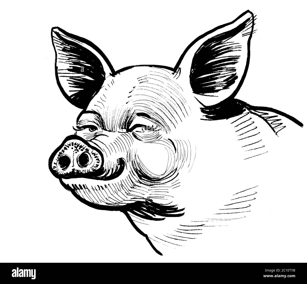 Smiling pig hi-res stock photography and images - Alamy