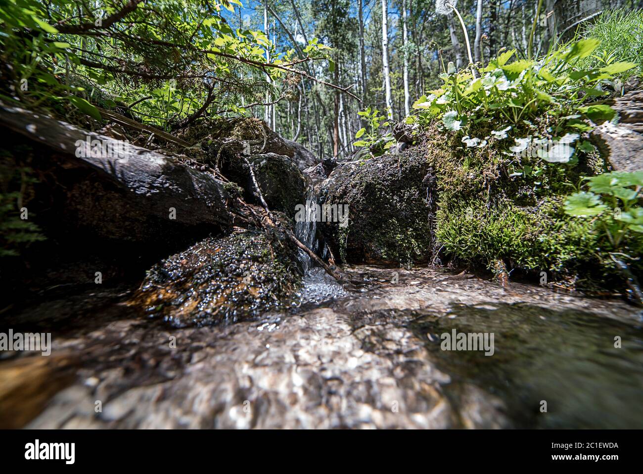 Trailside hi-res stock photography and images - Alamy