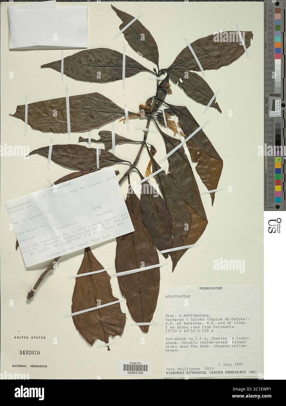 Herbarium records hi-res stock photography and images - Alamy