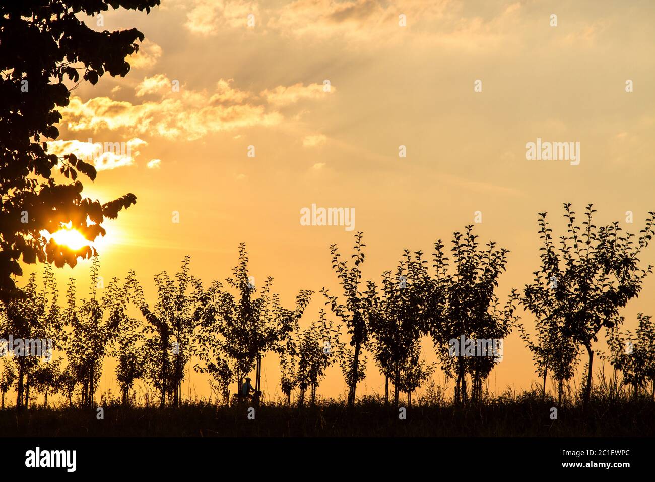 Shadow and sunset hi-res stock photography and images - Alamy