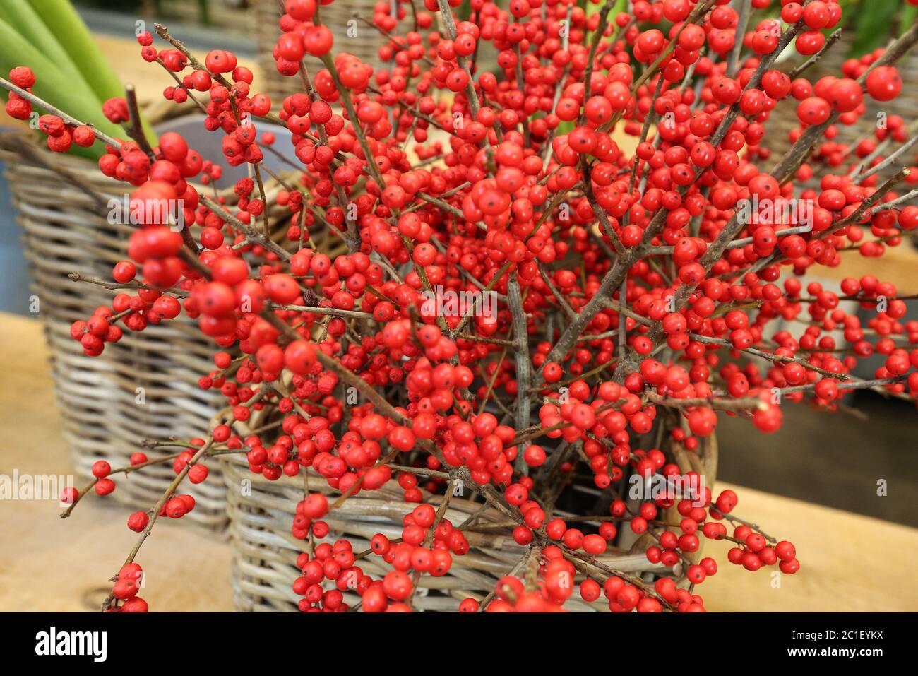 Branches with red berries Stock Photo - Alamy