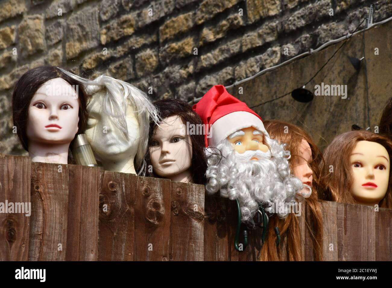 Discarded mannequin heads, gaze over the fence of a garden in the small ...