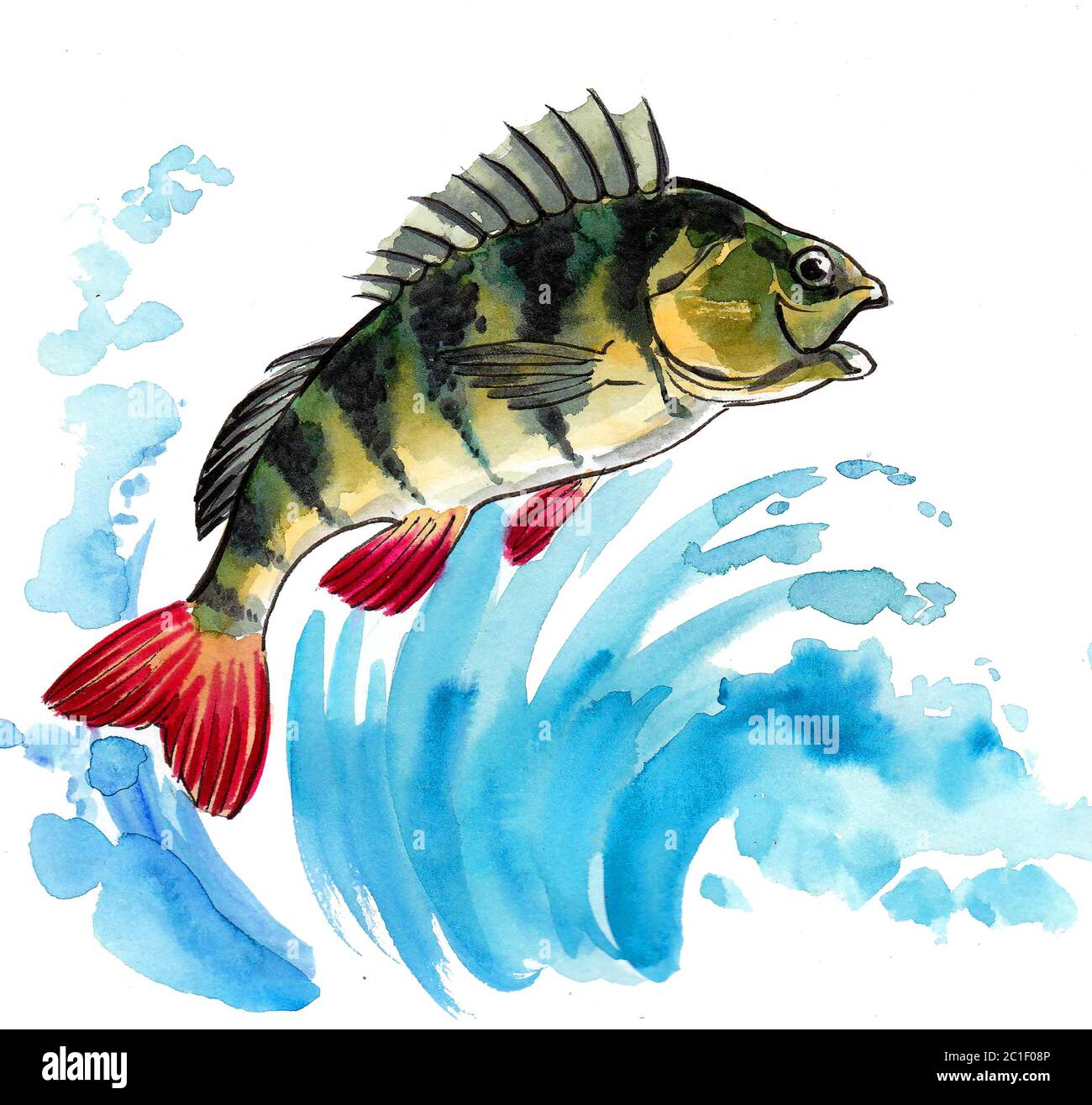 Jumping fish in the blue wave. Ink and watercolor drawing Stock Photo ...