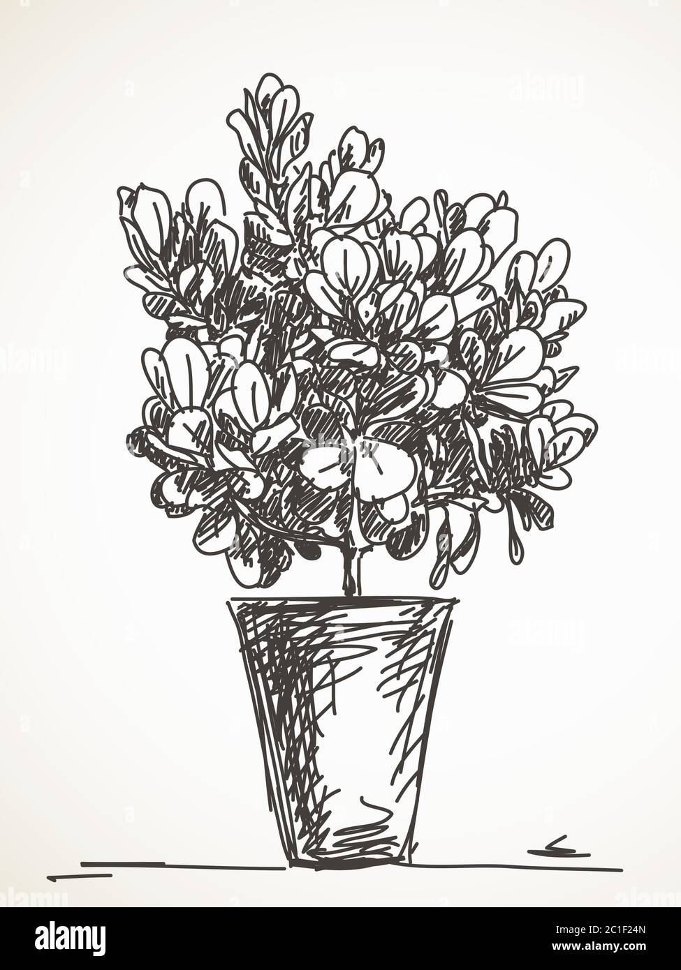 Sketch of small tree in clay pot, Hand drawn Vector illustration Stock ...