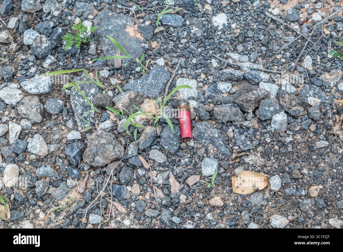 Used and empty shotgun shell from a rifle left and discarded laying on ...