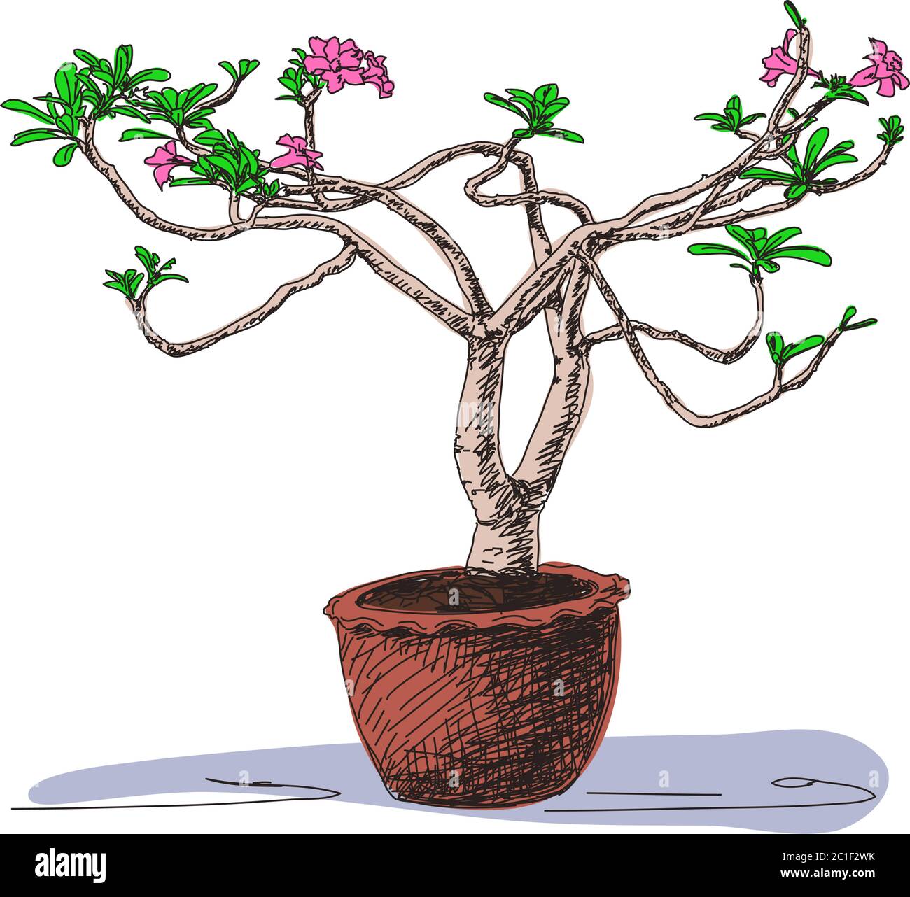 Sketch of blossom small tree in clay pot, Hand drawn Vector ...