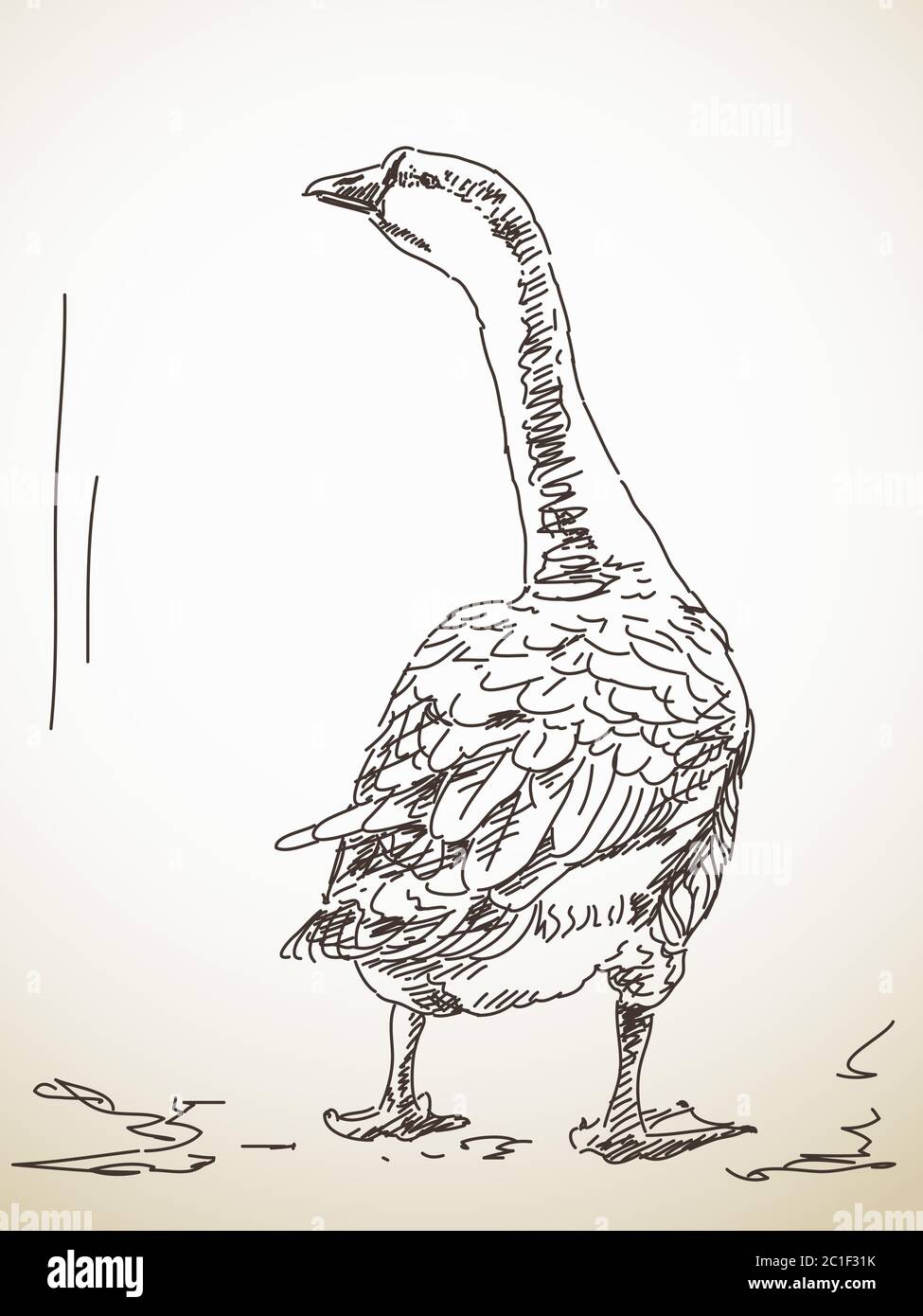 Back of the goose Stock Vector Images - Alamy