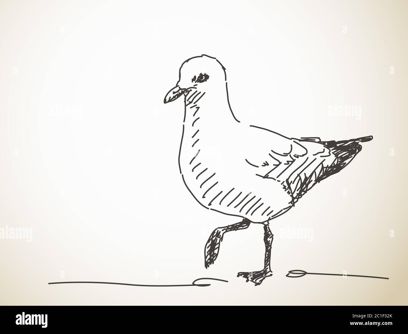 Sketch of Seagull in profile Hand drawn vector illustration Stock ...
