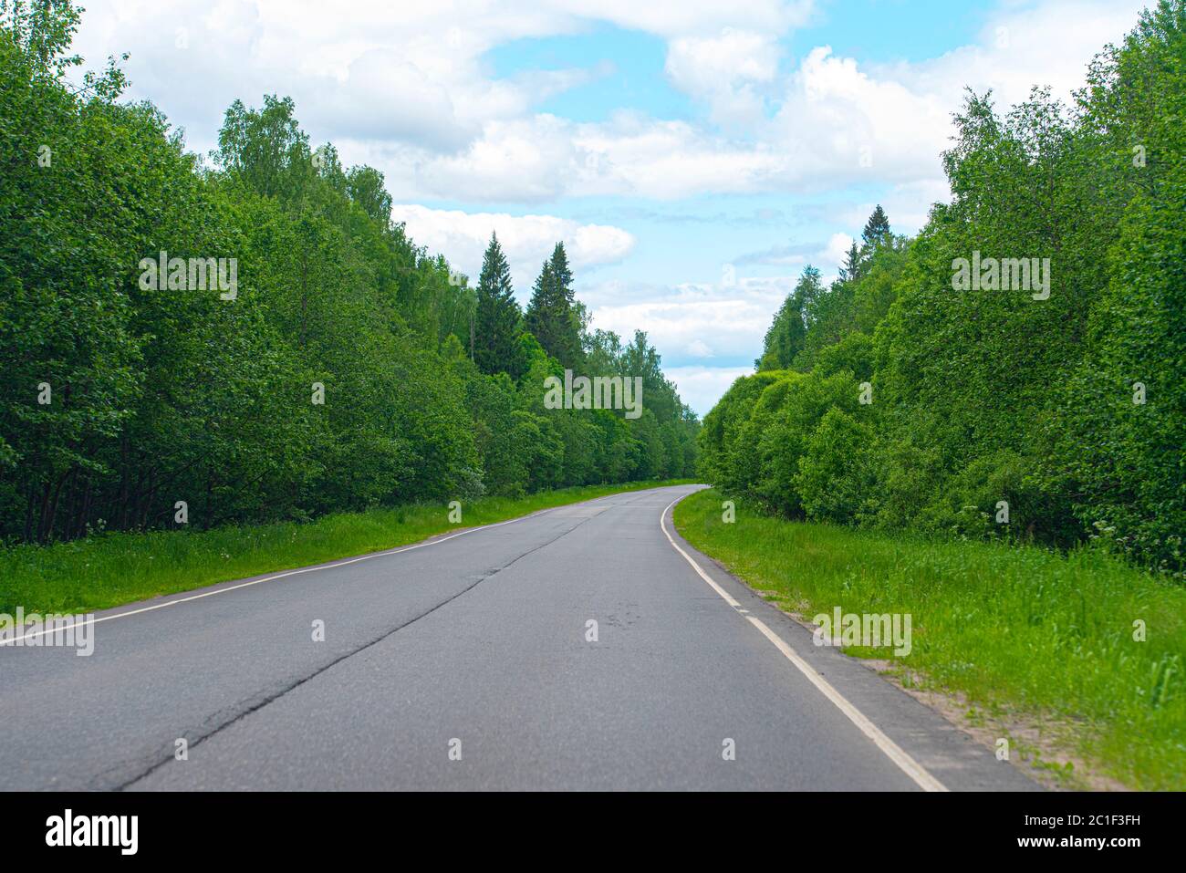 Empty asphalt road empty road between green trees in Russia, summer ...