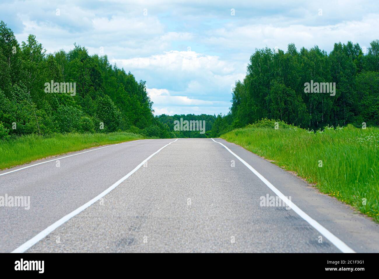Empty asphalt road empty road between green trees in Russia, summer ...