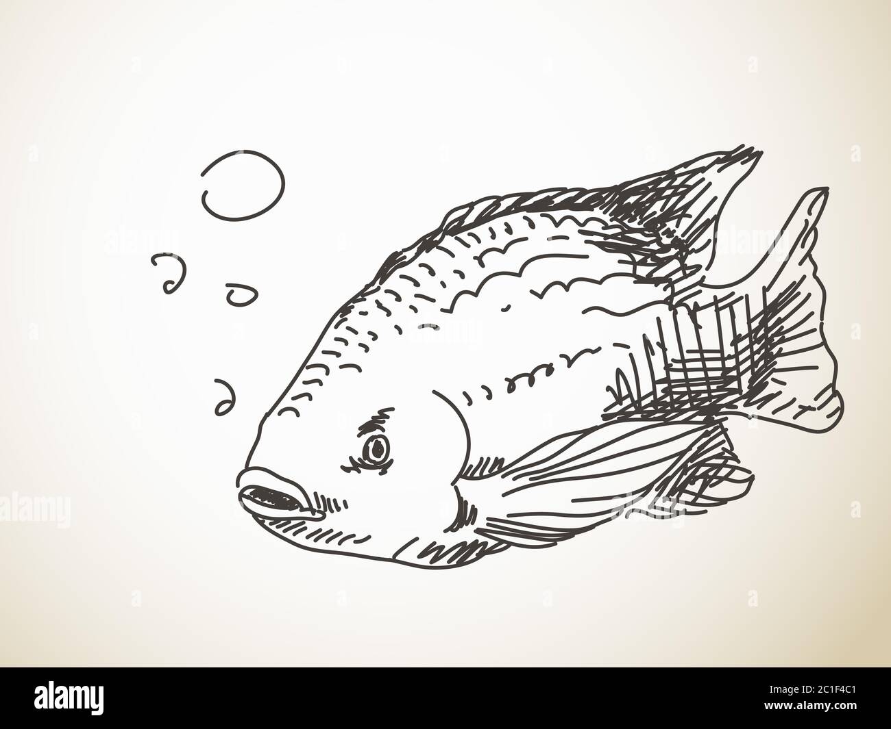 Sketch of fish, Hand drawn Vector illustration Stock Vector Image & Art ...