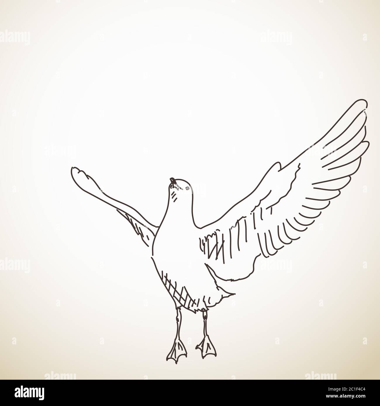 Seagull ready to fly Vector sketch Hand drawn illustration Stock Vector ...