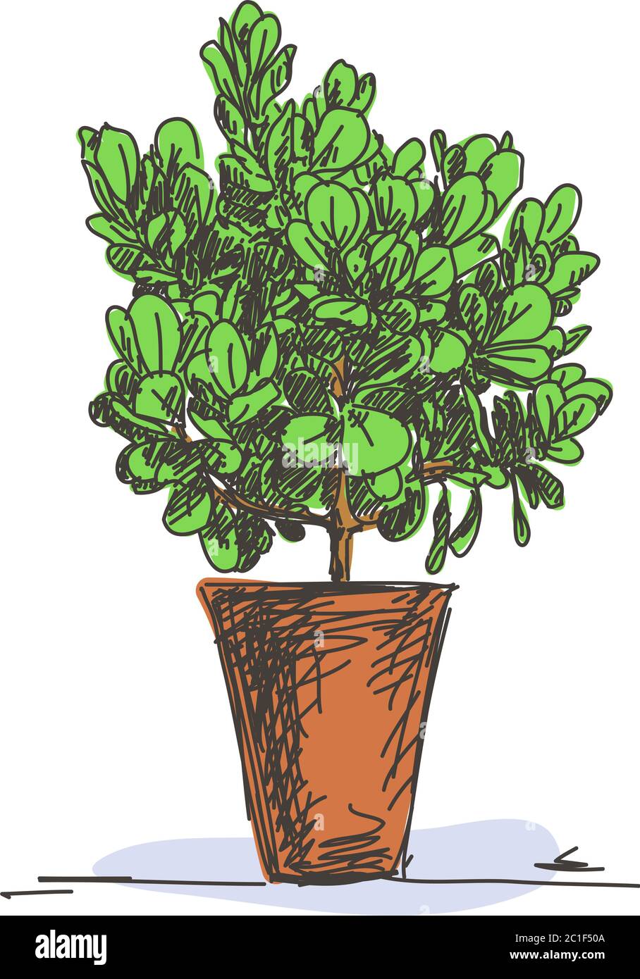 Sketch of small tree in clay pot, Hand drawn Vector illustration Stock ...