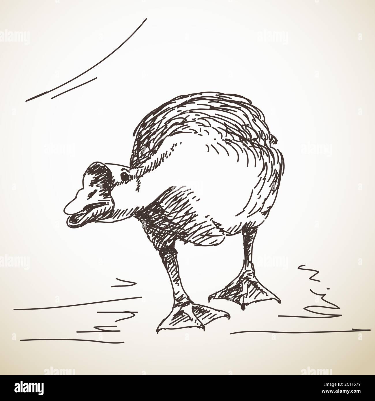 Goose attacks, Vector Sketch, Hand drawn illustration Stock Vector ...