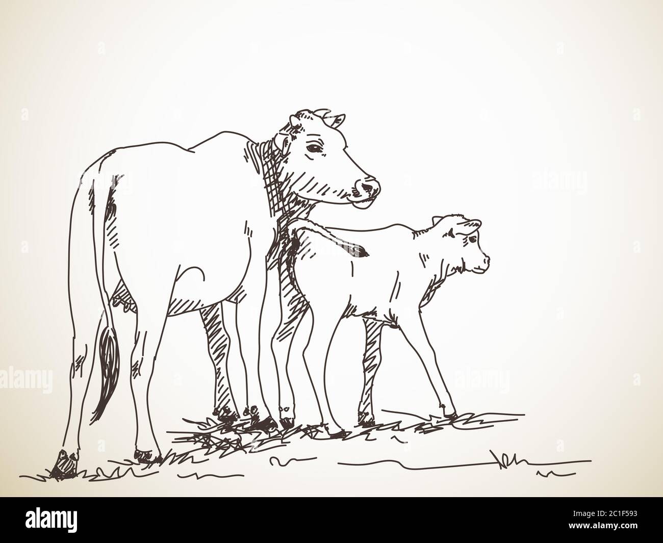 Sketch of cow and calf, Hand drawn vector illustration Stock Vector ...