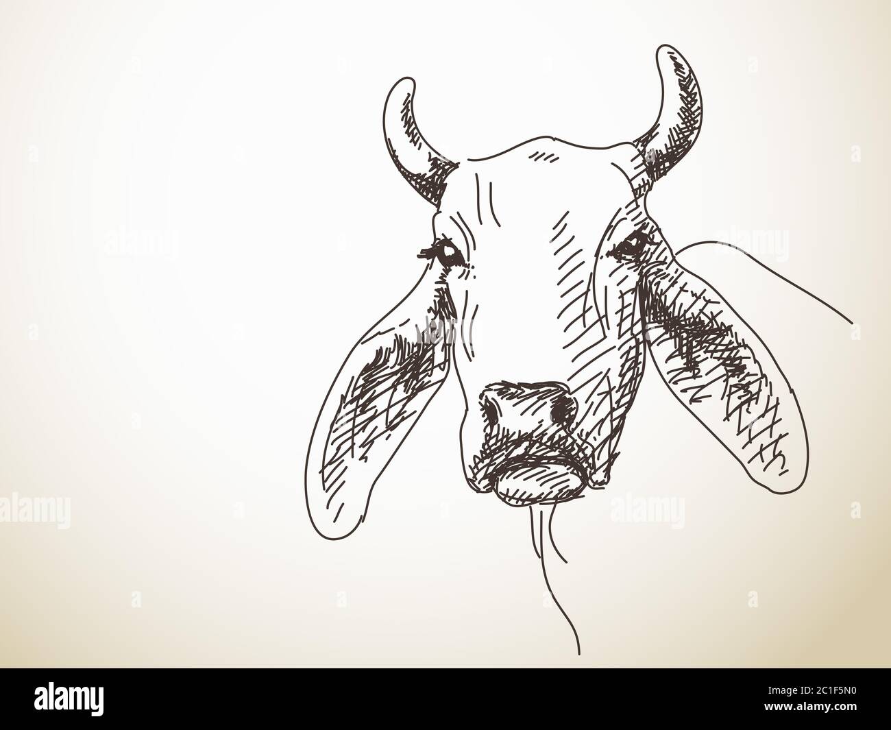Sketch of the long ears of cattle Isolated Vector Illustration Stock ...
