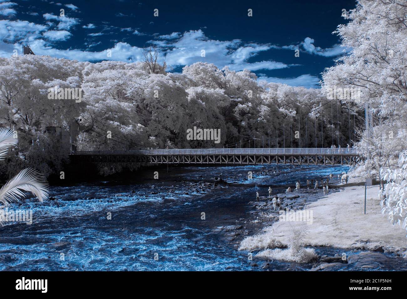 Converted infrared camera hi-res stock photography and images - Alamy