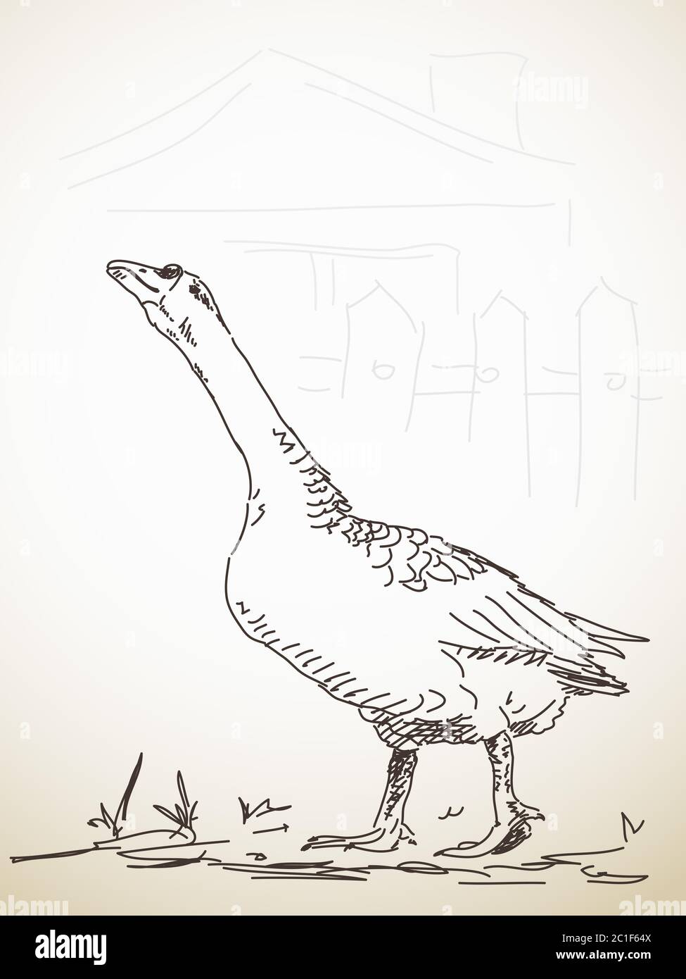 Goose attacks, Vector Sketch, Hand drawn illustration Stock Vector ...