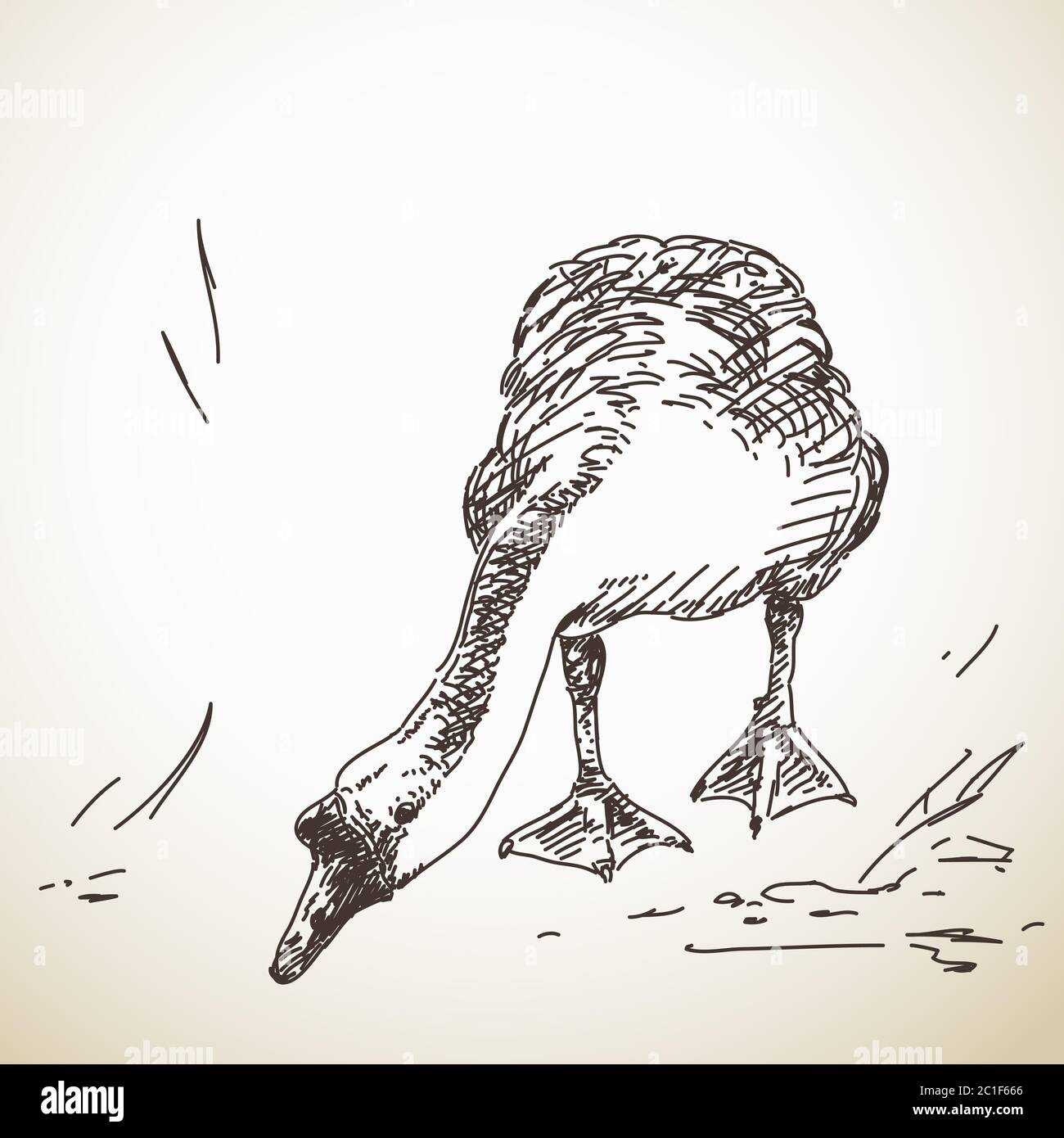 Goose, Vector Sketch, Hand drawn illustration Stock Vector Image & Art ...