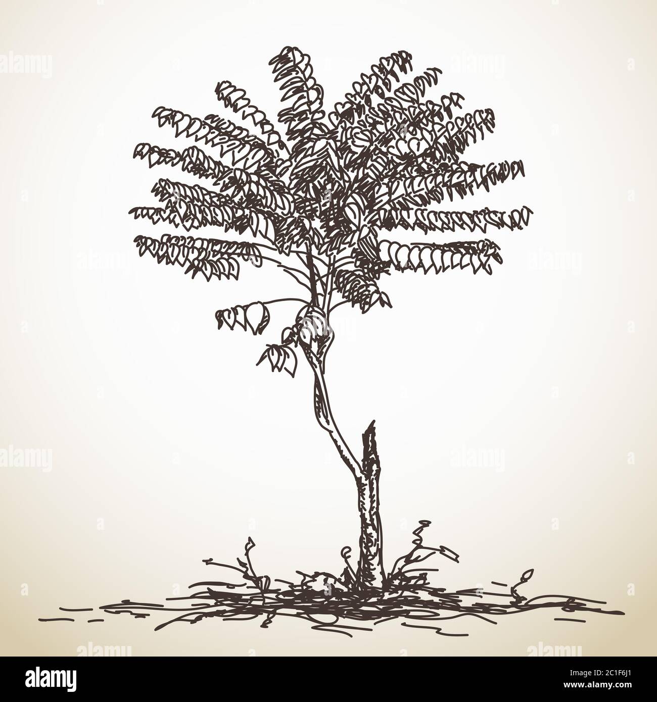 Sketch of small tree, Hand drawn Vector illustration Stock Vector Image ...