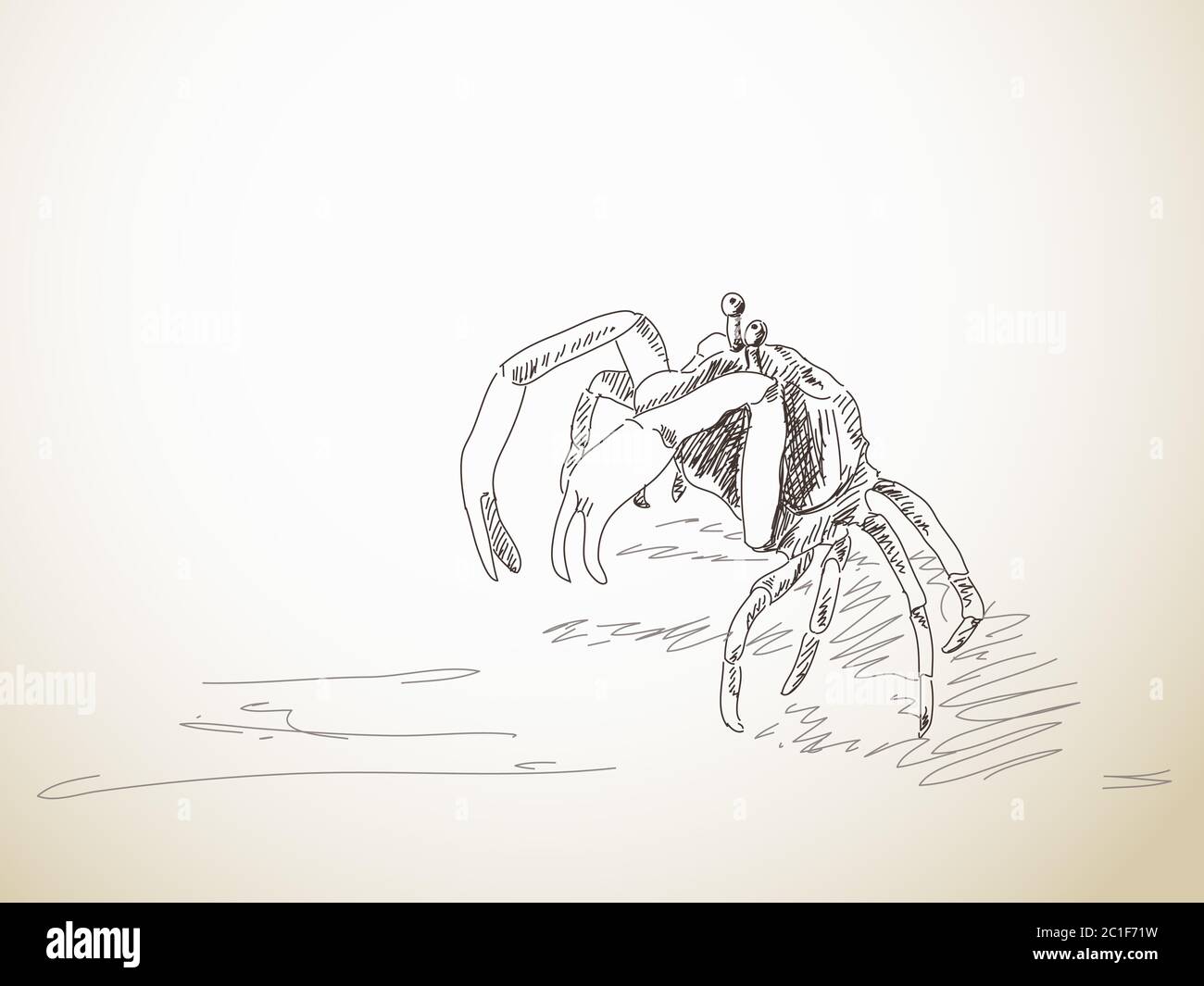 Sketch of crab, Hand drawn Vector illustration Stock Vector Image & Art ...