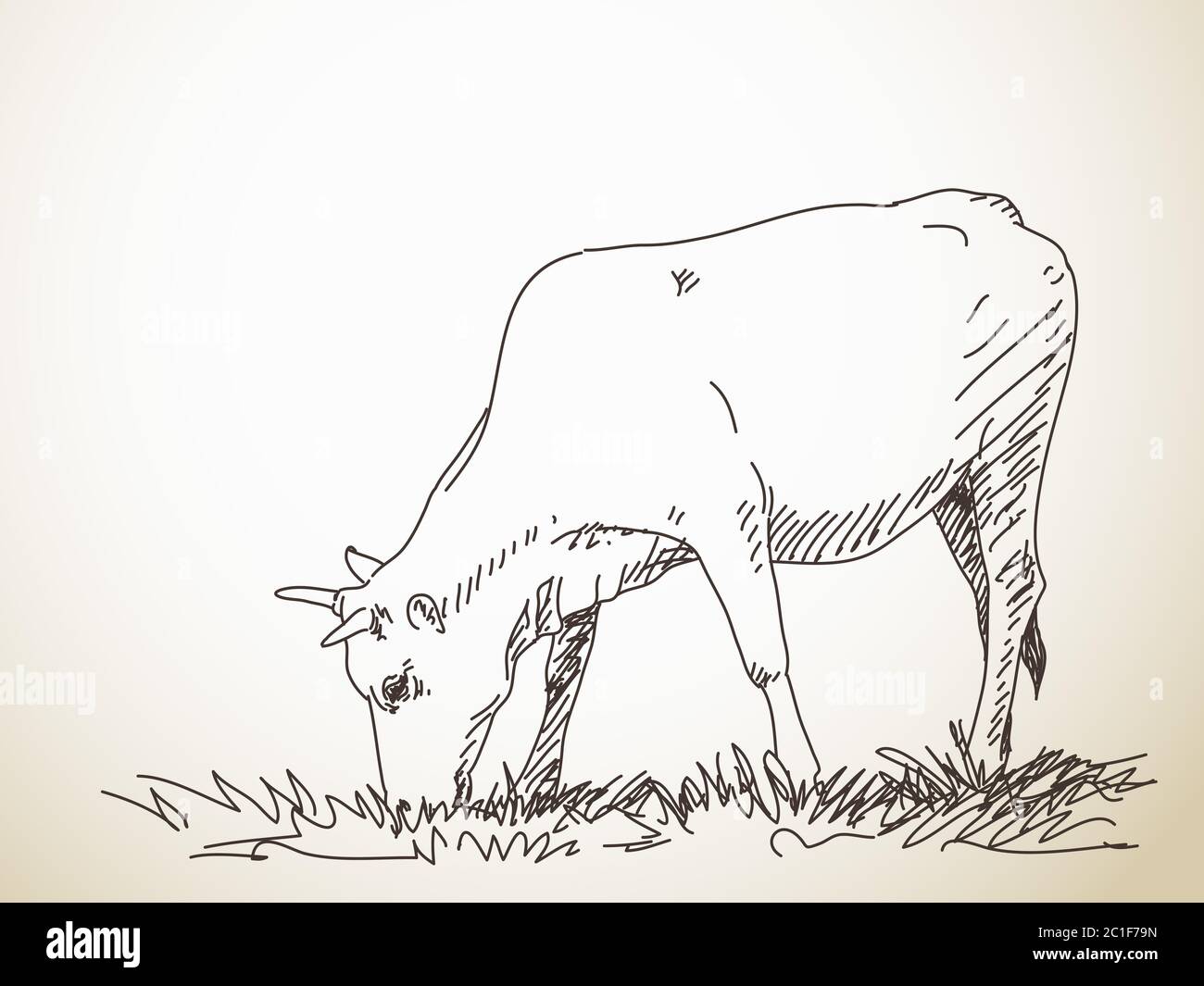 Sketch of eating cow, Hand drawn vector illustration Stock Vector Image ...