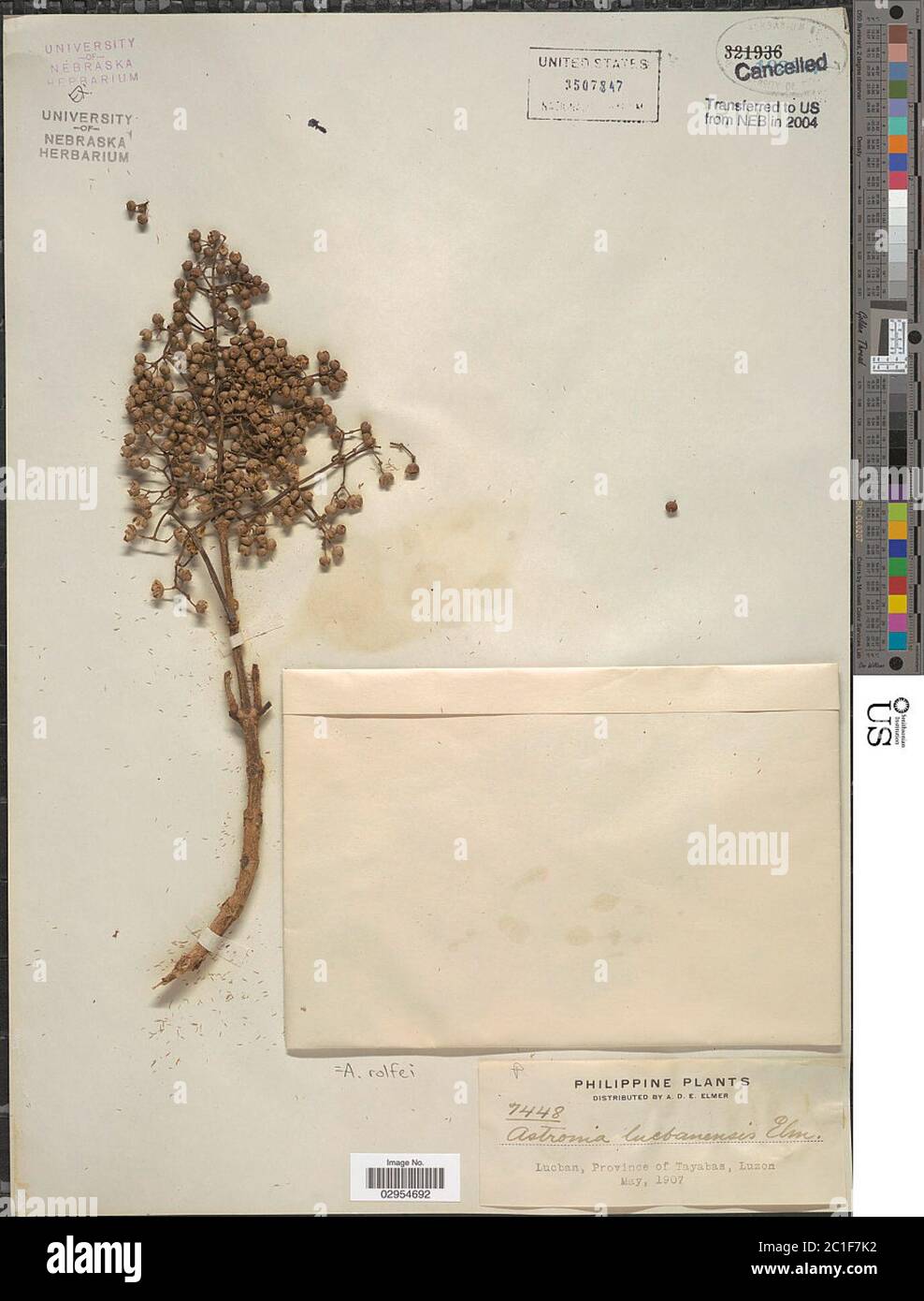 Astronia hi-res stock photography and images - Alamy