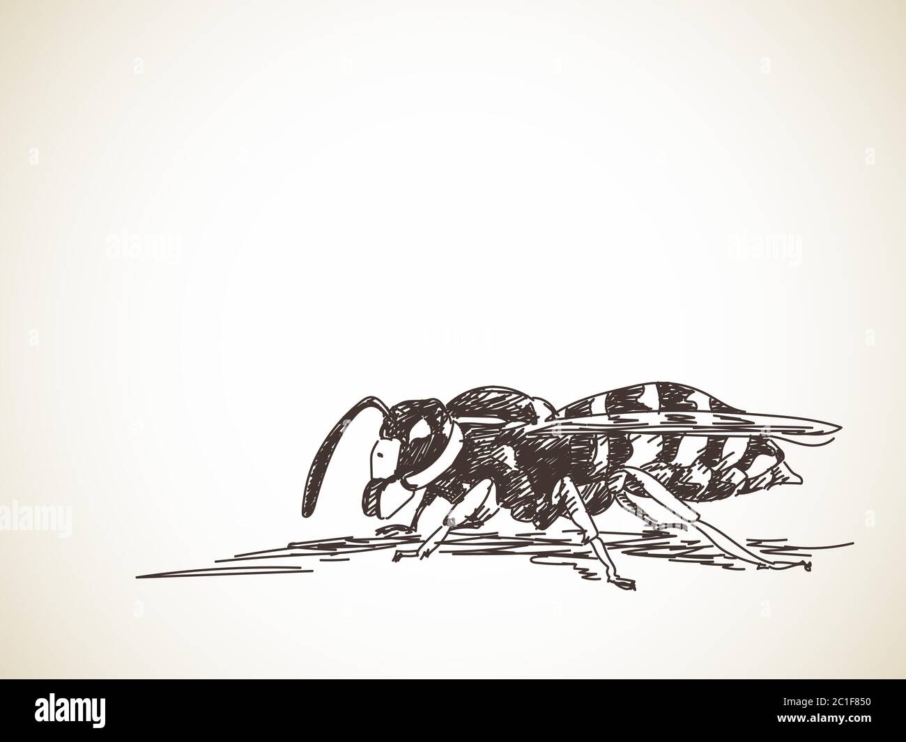 Wasp illustration Stock Vector Images - Alamy