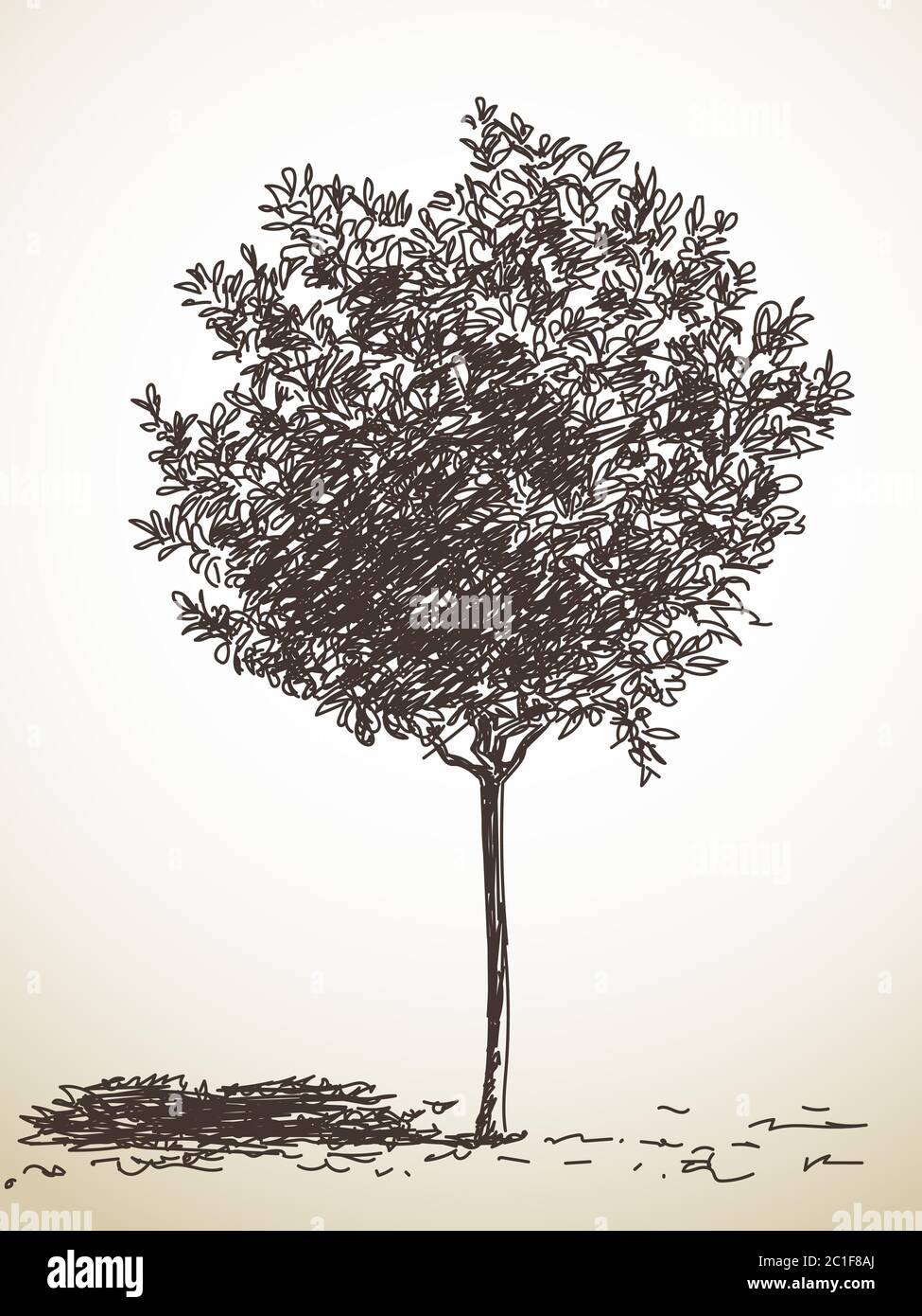 Sketch of isolated tree, Hand drawn illustration Stock Vector Image ...
