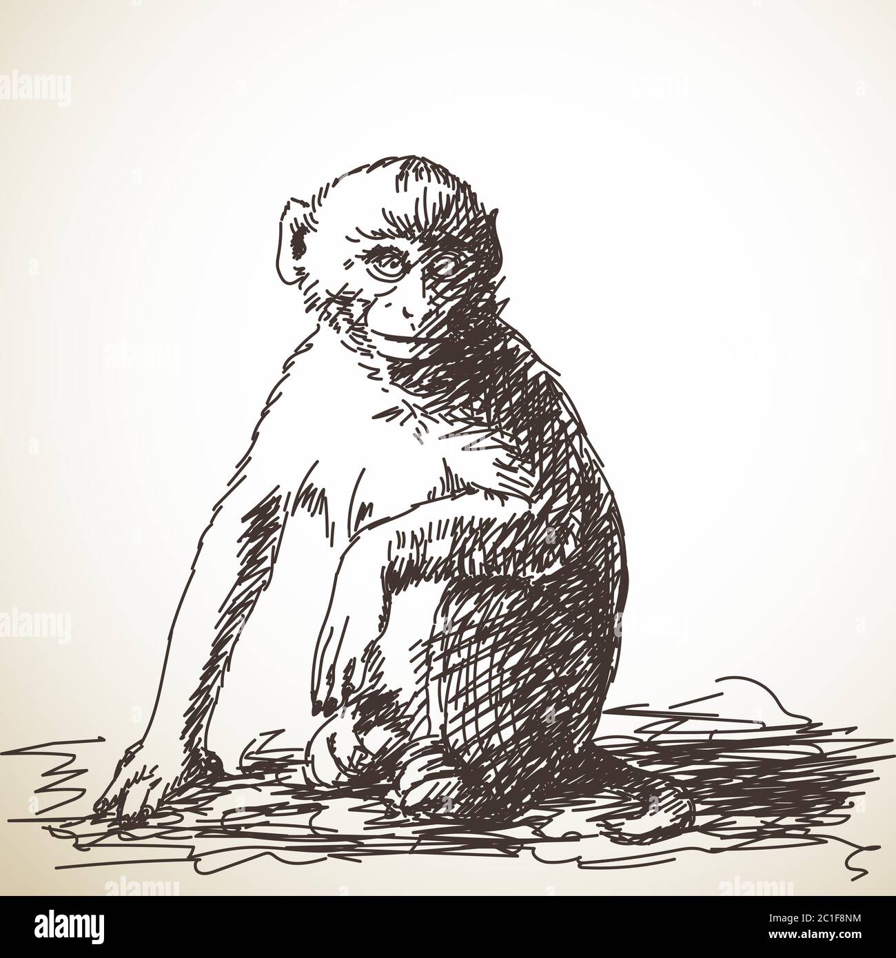 Monkey Drawings Sketching Vector Langur Monkeys Vector Art & Graphics