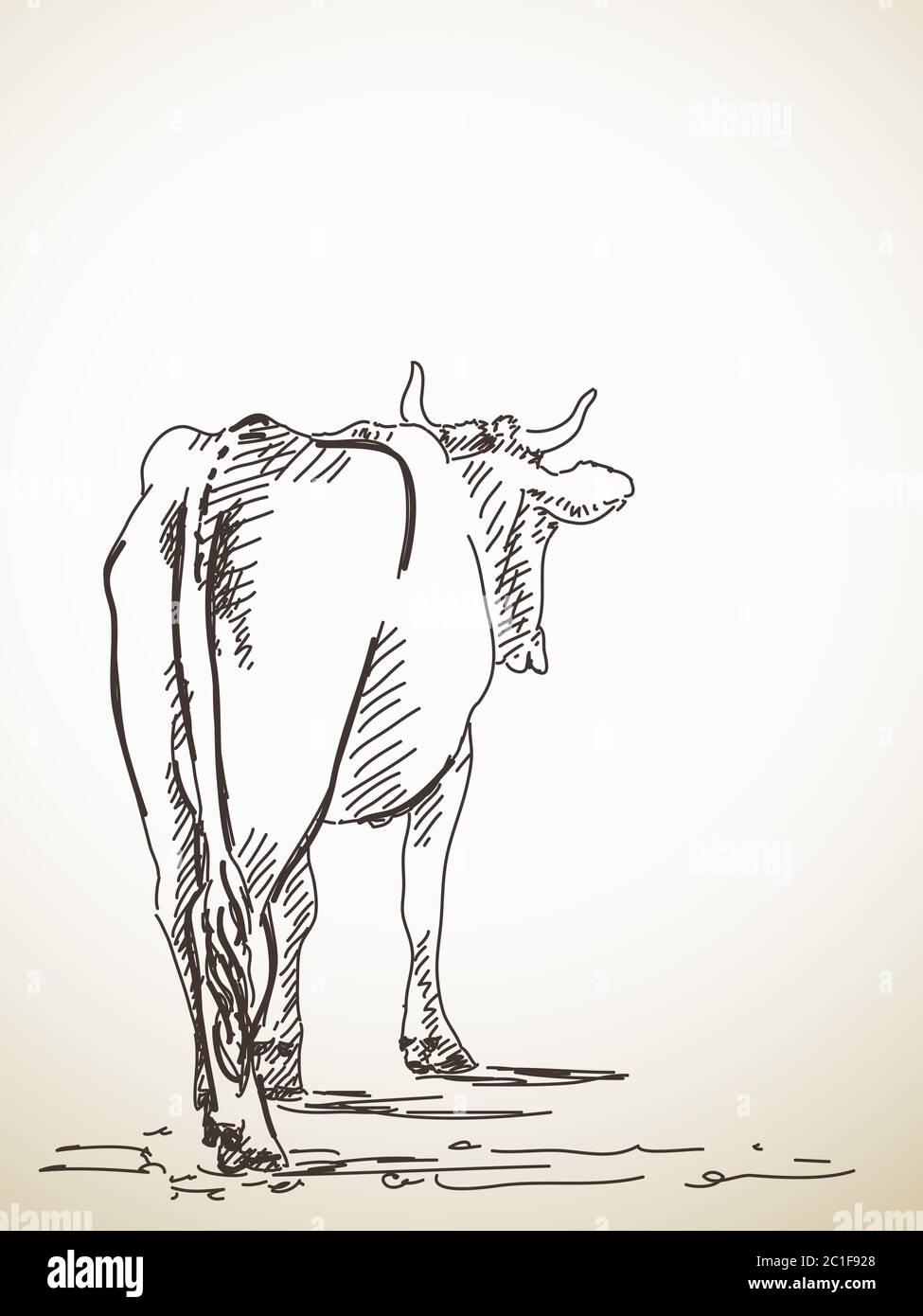 Animal back view cow Stock Vector Images - Alamy