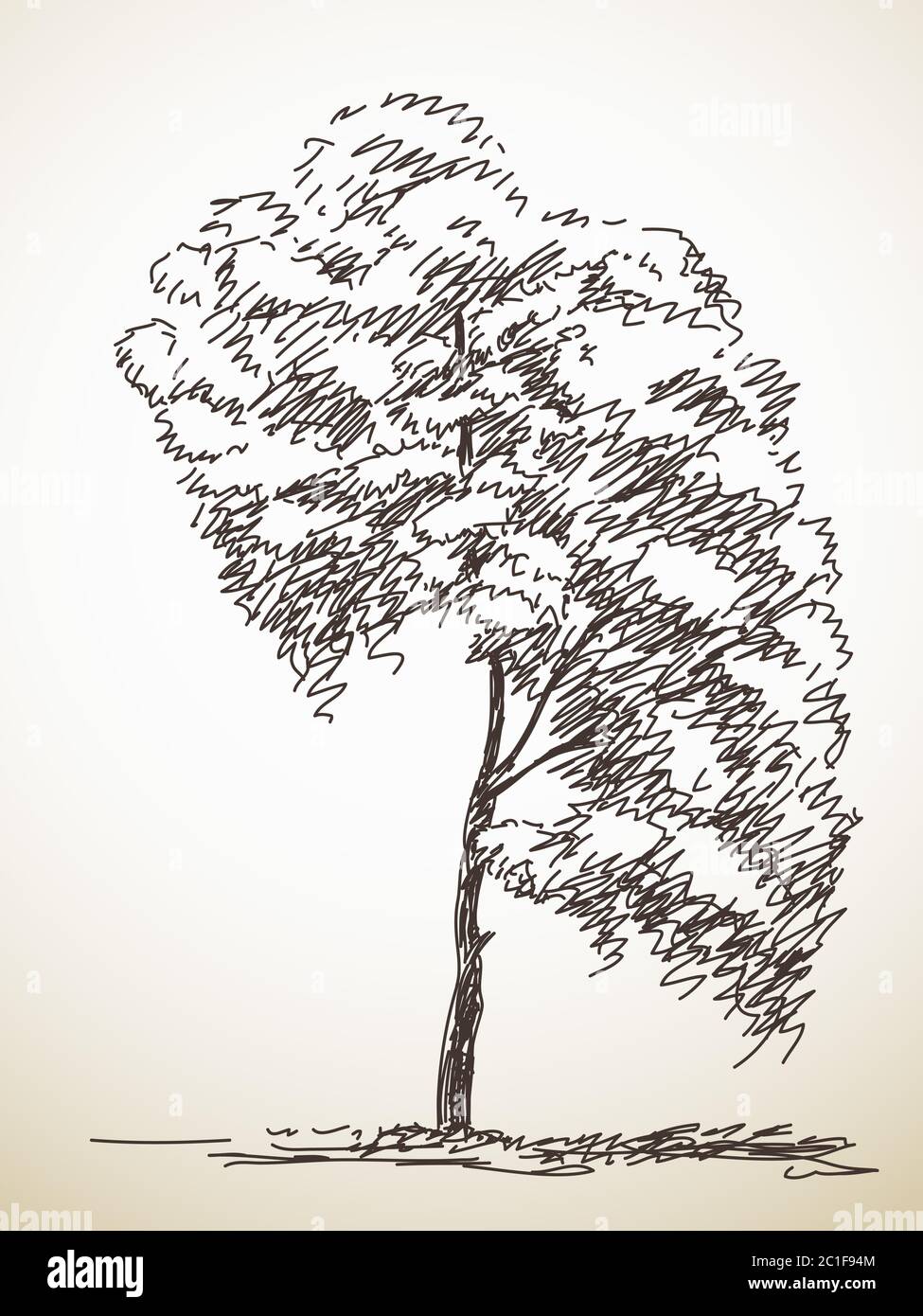 Tree. Vector sketch, Hand drawn illustration Stock Vector Image & Art ...