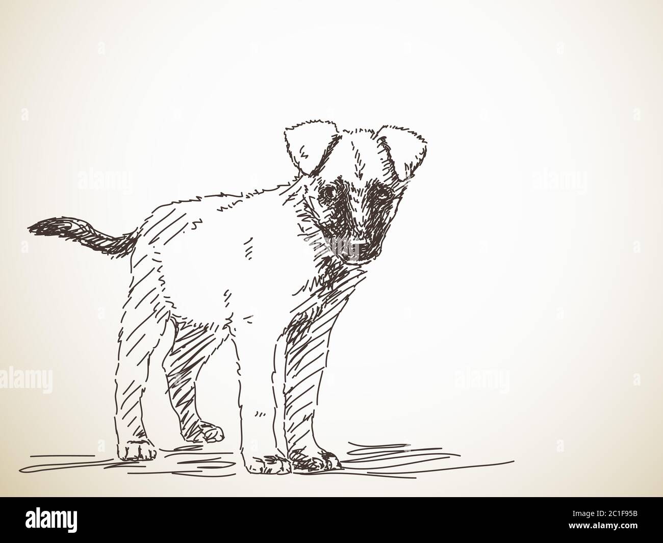 Sketch of puppy dog, Hand drawn vector illustration Stock Vector Image ...