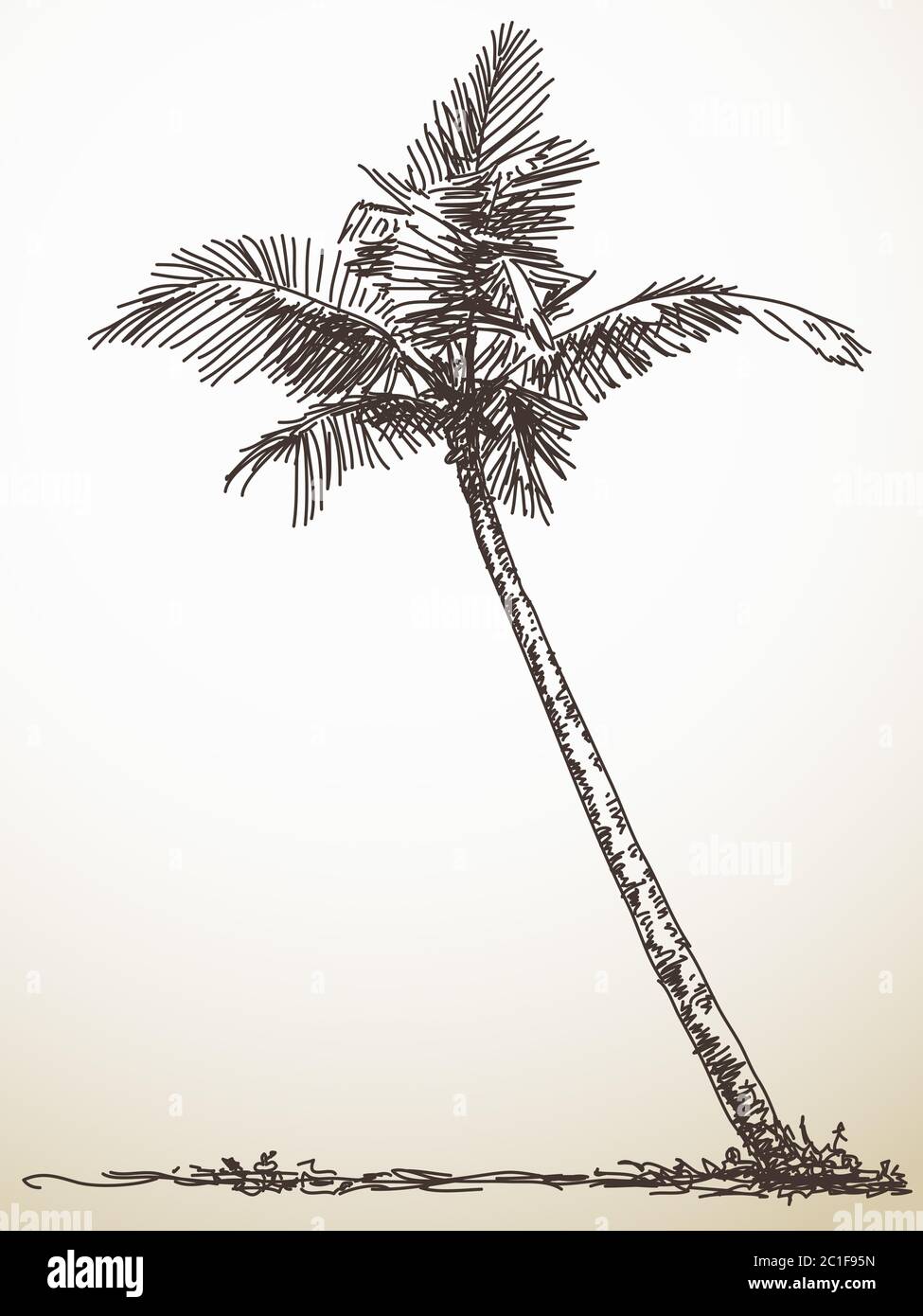 Sketch of palm tree, Hand drawn illustration, Vector Stock Vector Image ...