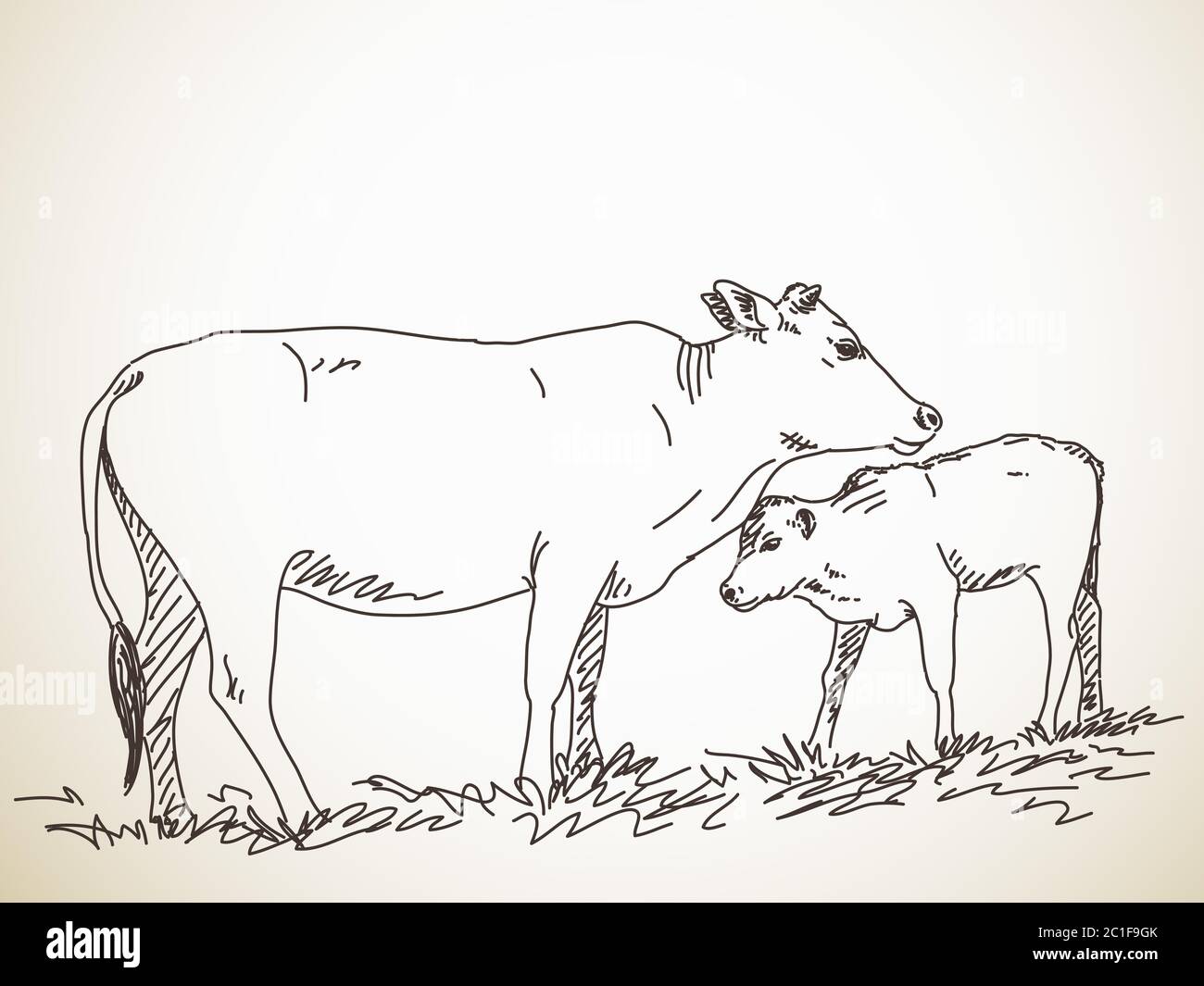 Sketch of cow and calf, Hand drawn vector illustration Stock Vector ...