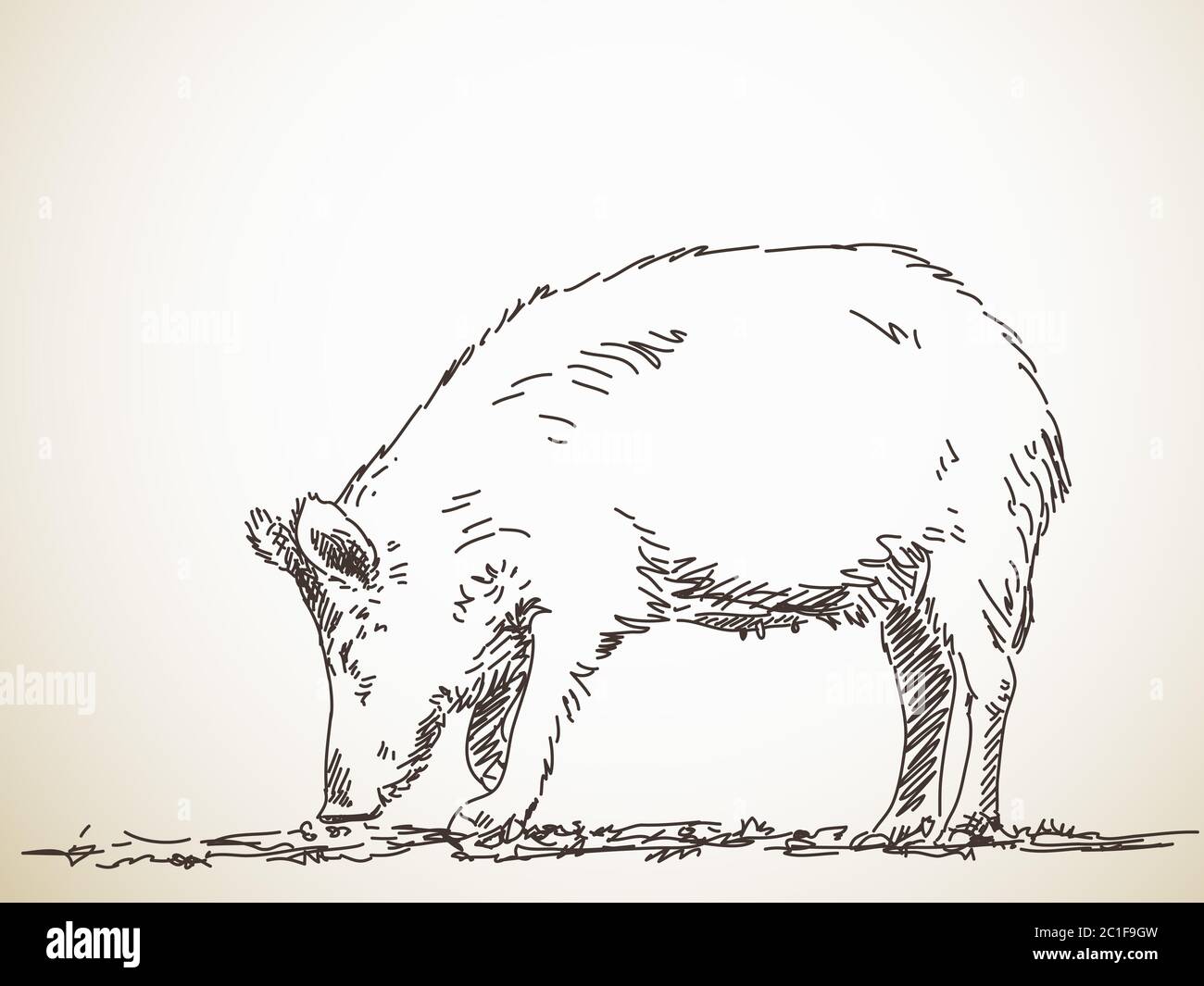 Eating pig Vector Sketch Hand drawn illustration Stock Vector Image ...