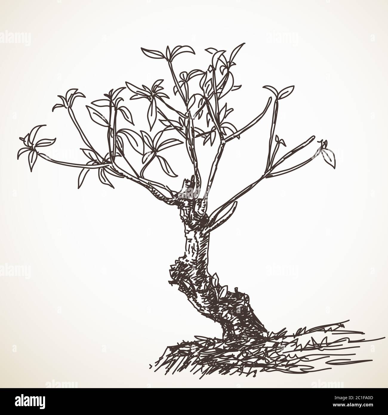 Sketch of small tree, Hand drawn Vector illustration Stock Vector Image ...