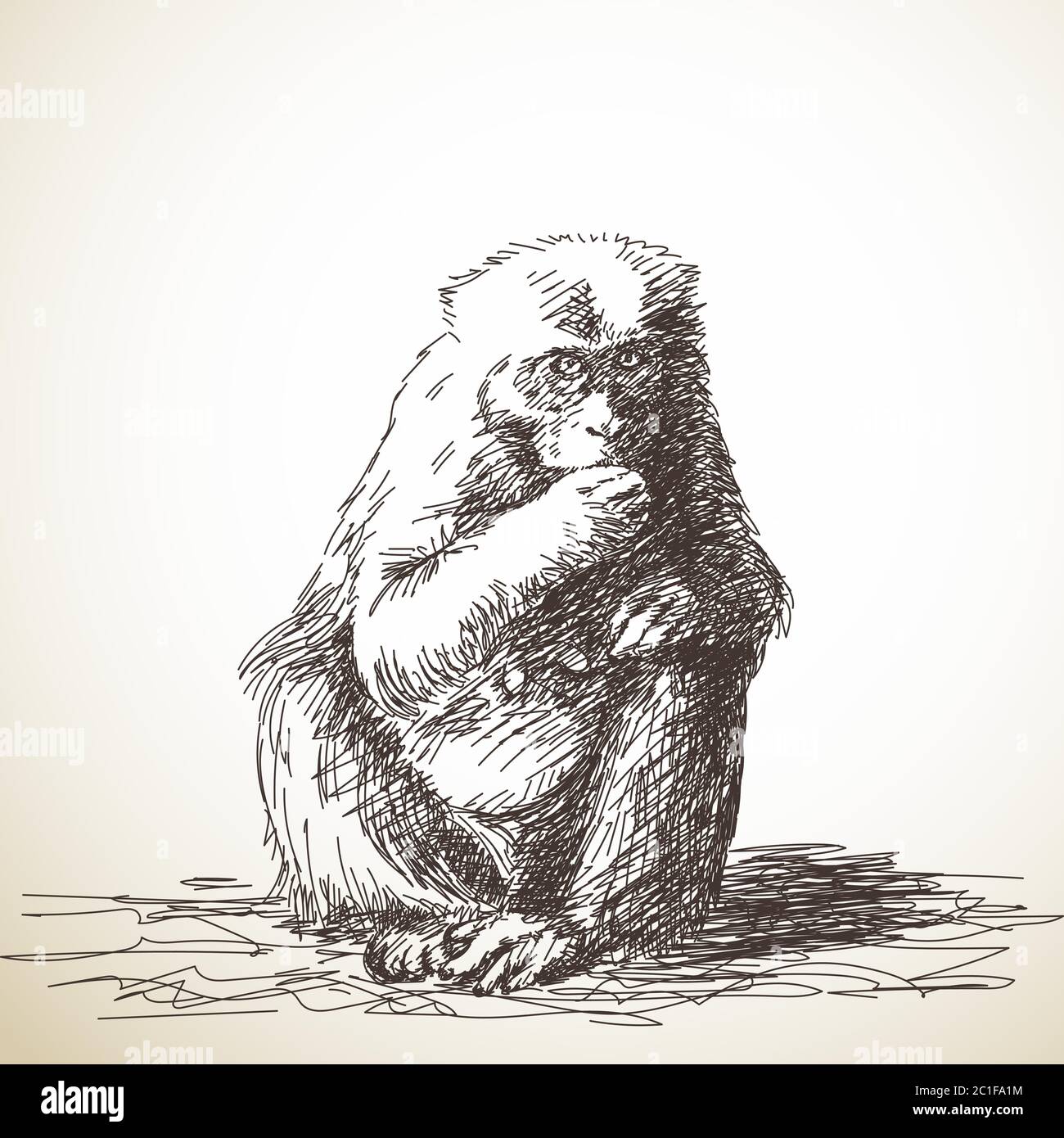 Sketch of monkey, Hand drawn illustration Stock Vector Image & Art - Alamy