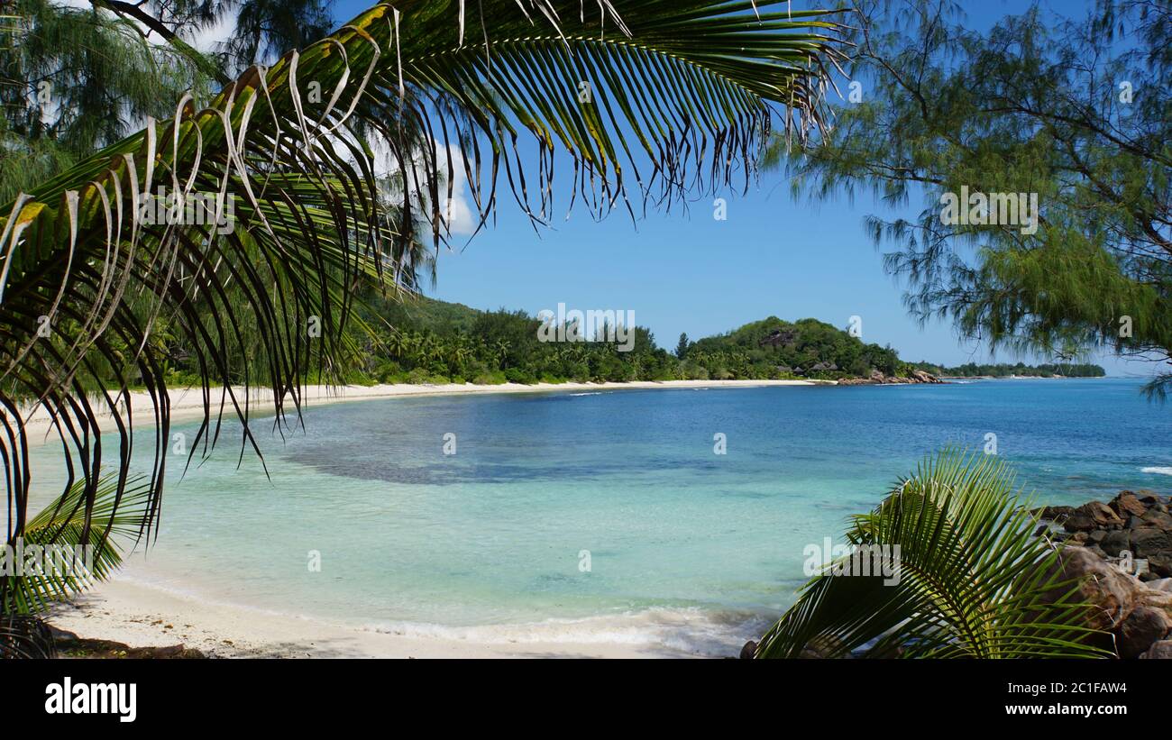 amazing tropical landscape on the seychelles islands Stock Photo - Alamy