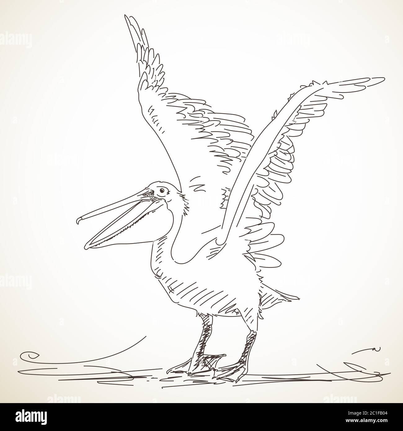 Hand drawn sketch of pelican with spread wings Stock Vector Image & Art ...