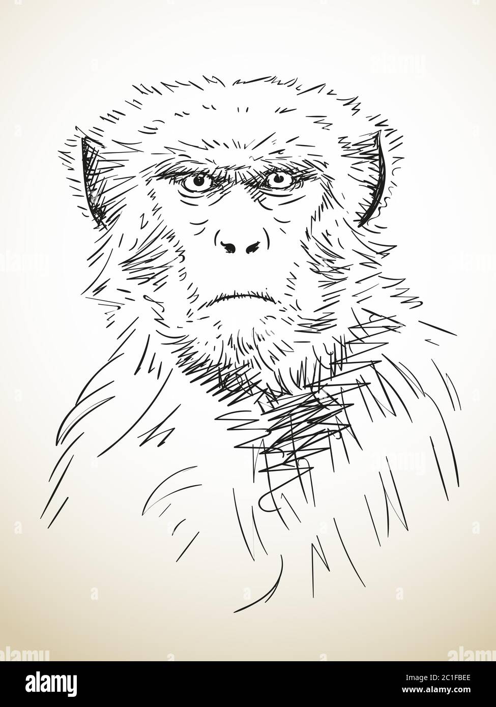 Sketch of monkey, Hand drawn illustration Stock Vector Image & Art - Alamy