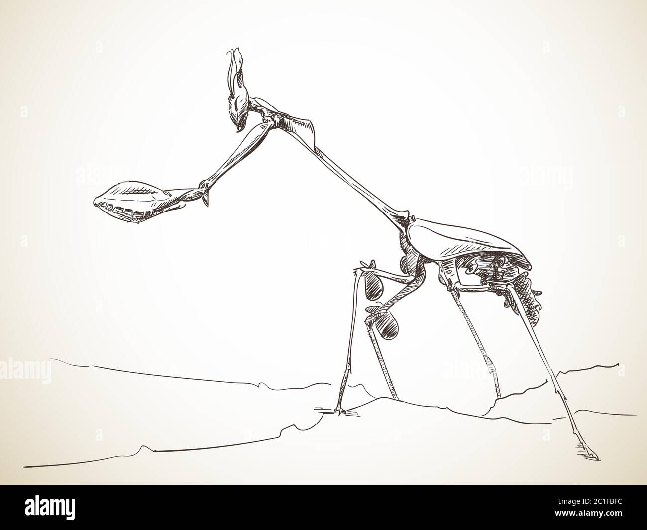 Sketch of mantis, Hand drawn illustration Stock Vector Image & Art - Alamy